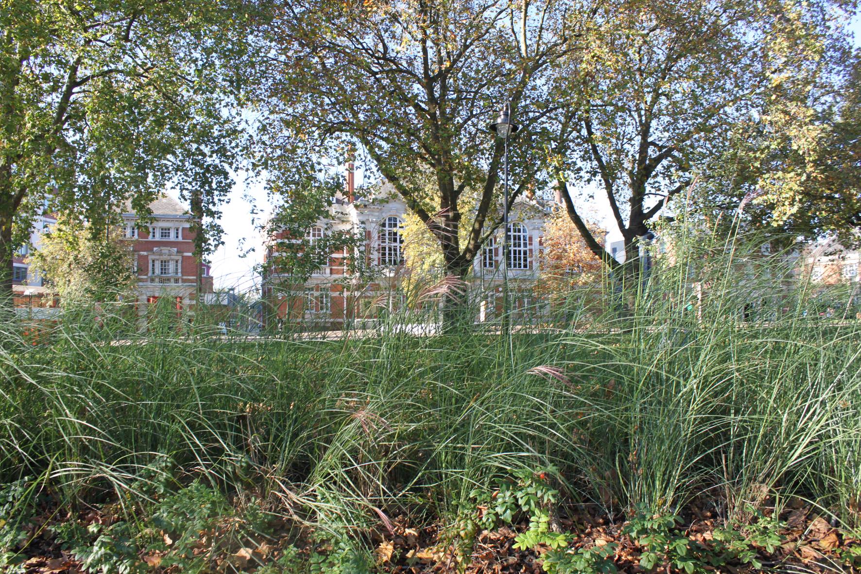 Tottenham regeneration walking tour – what we found out – Discovering ...