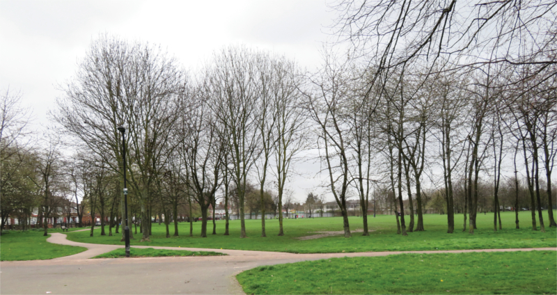 Tottenham’s parks and green spaces – Discovering Tottenham
