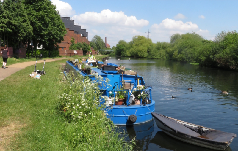 Tottenham’s parks and green spaces – Discovering Tottenham