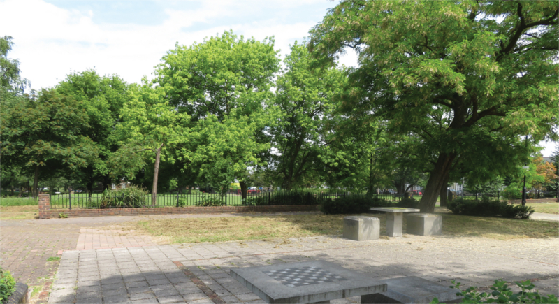 Tottenham’s parks and green spaces – Discovering Tottenham
